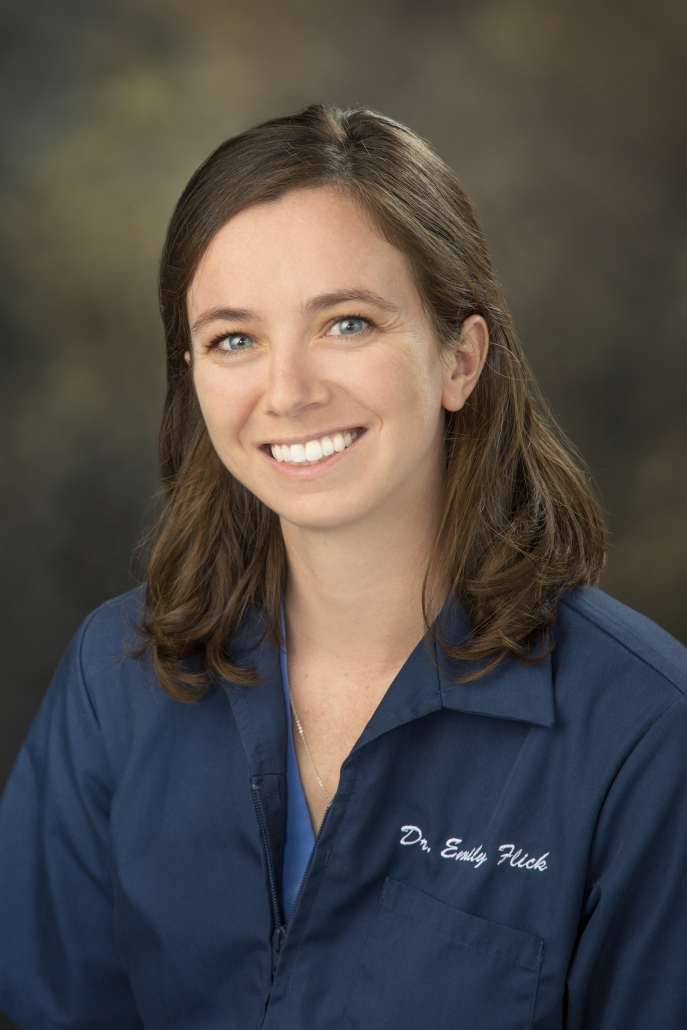 About Our Clinic - Hastings Veterinary Clinic